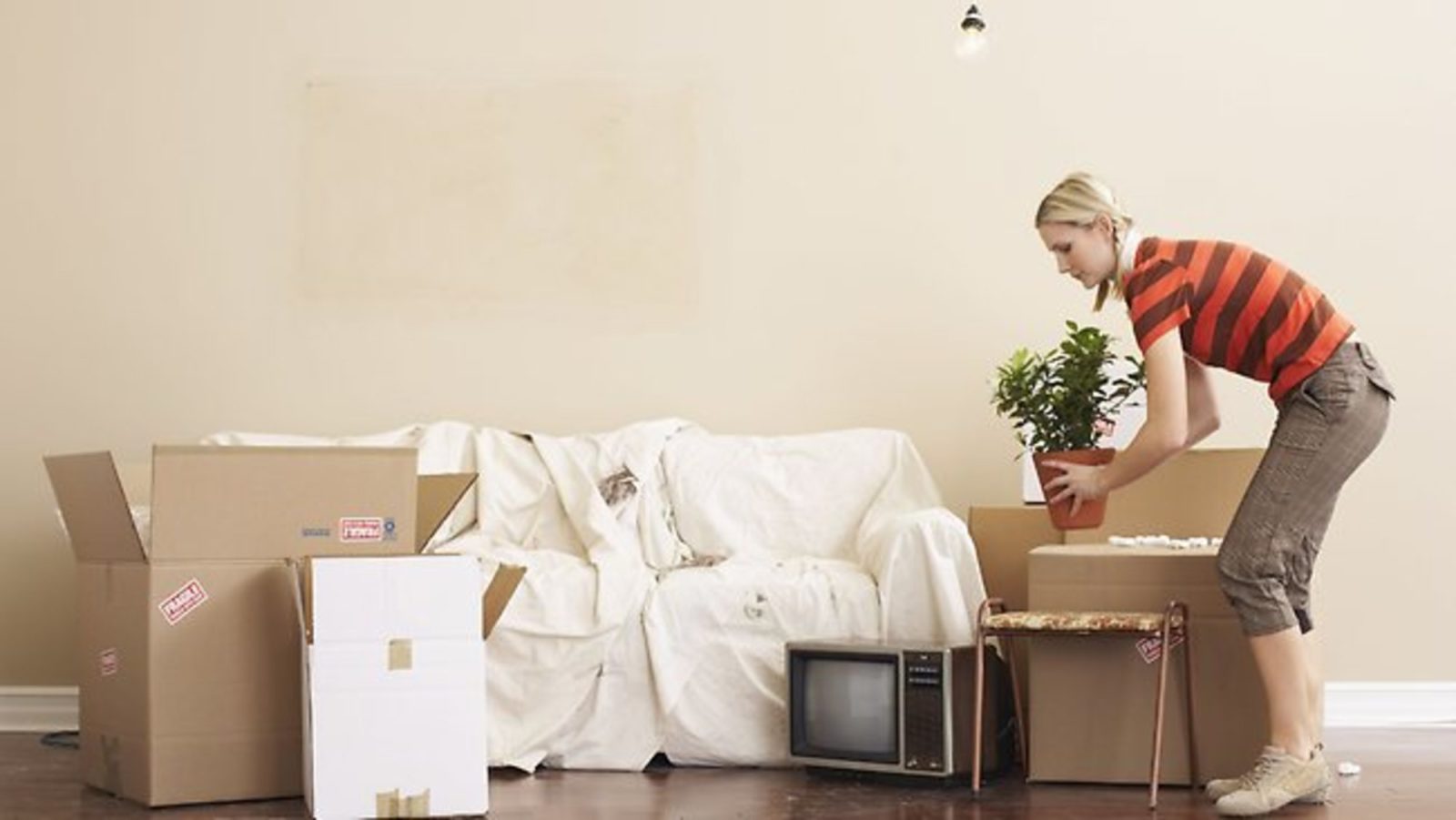 Step-by-Step: How to Perform an Effective End of Lease Flea Treatment